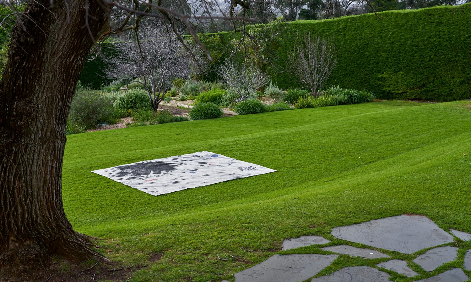 Step into Bridget Currie’s world – and the world of Carrick Hill ...