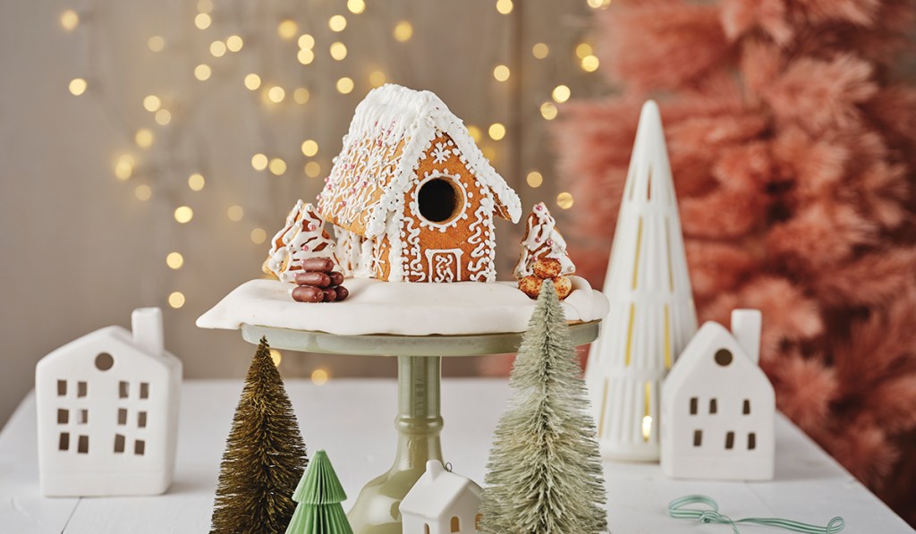 Build your own gingerbread house - SALIFE | InDaily, Inside South Australia