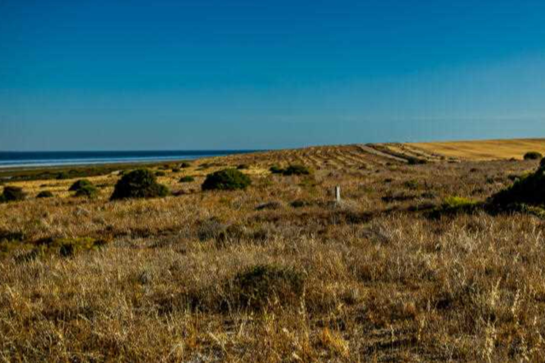 Culture and Country are at the heart of this garden - News | InDaily ...