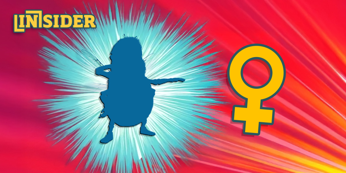 InSider: Trev the bee evolves - News | InDaily, Inside South Australia