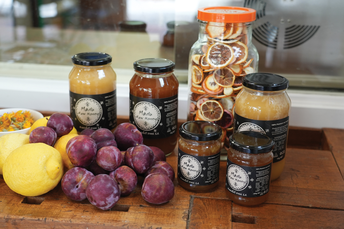 Welcome to the bee hub - SALIFE | InDaily, Inside South Australia