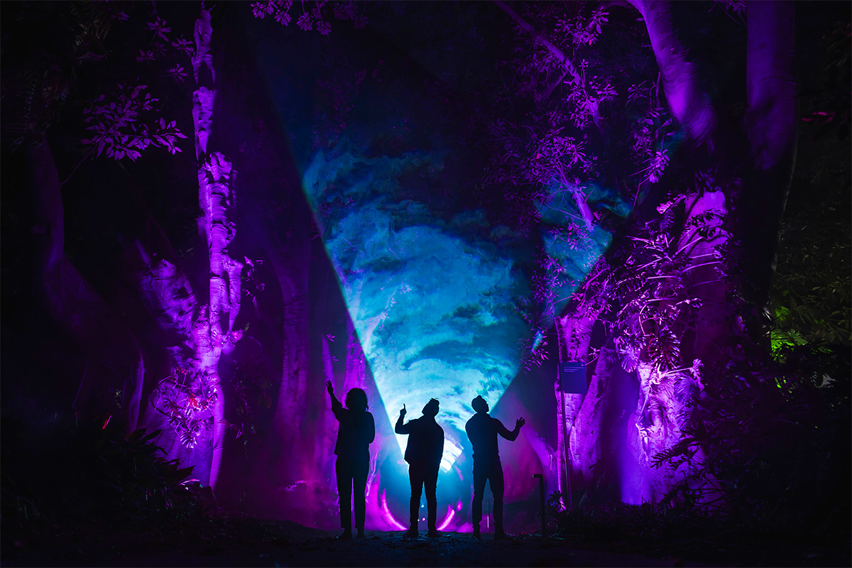 Illuminate Adelaide 2025: Your ultimate guide to the city’s dazzling ...