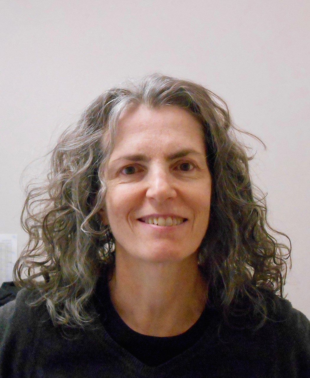 Tracy Ryan's historical novels reviewed