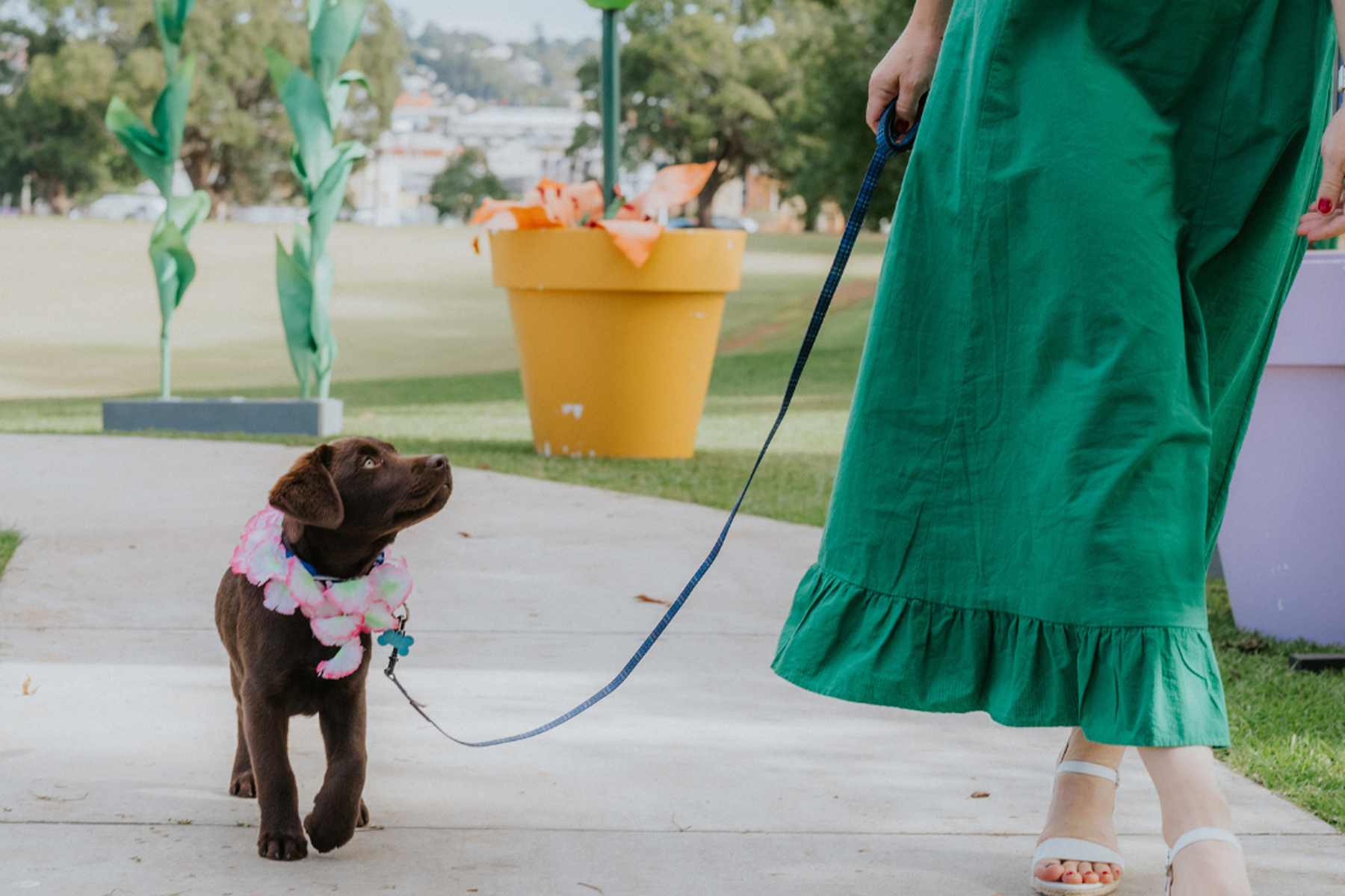 Must-do events at Toowoomba Carnival of Flowers 2025