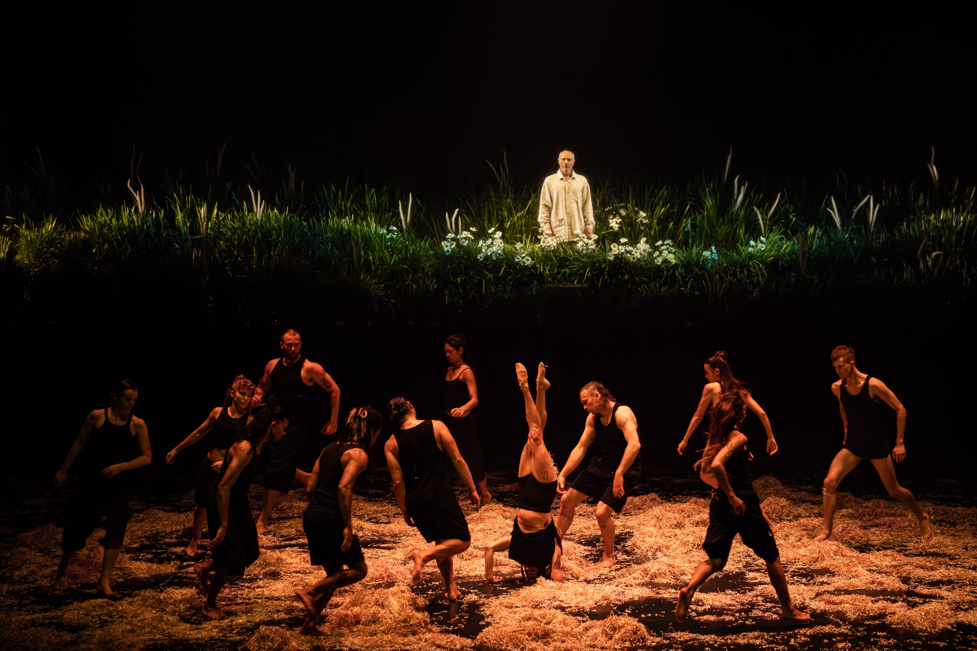 Stephanie Lake's The Chronicles: Change and Growth - InReview | InDaily ...