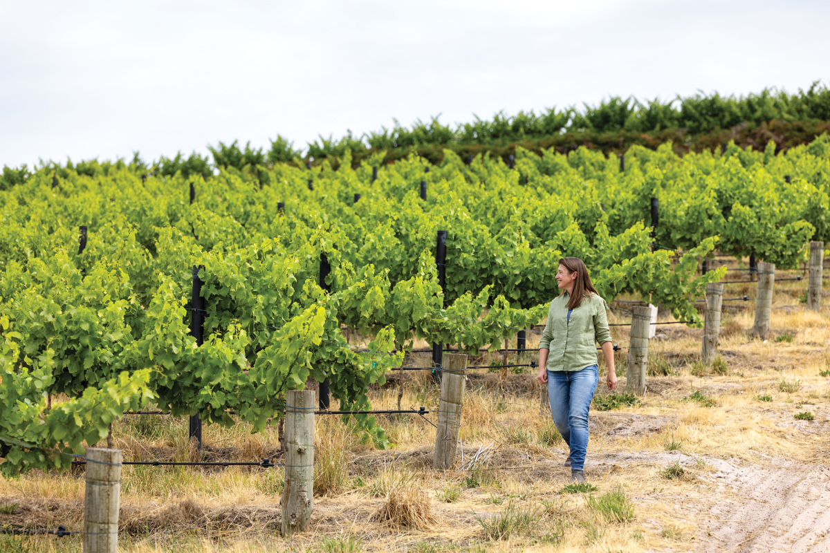 Winemaker's Midas touch - SALIFE | InDaily, Inside South Australia