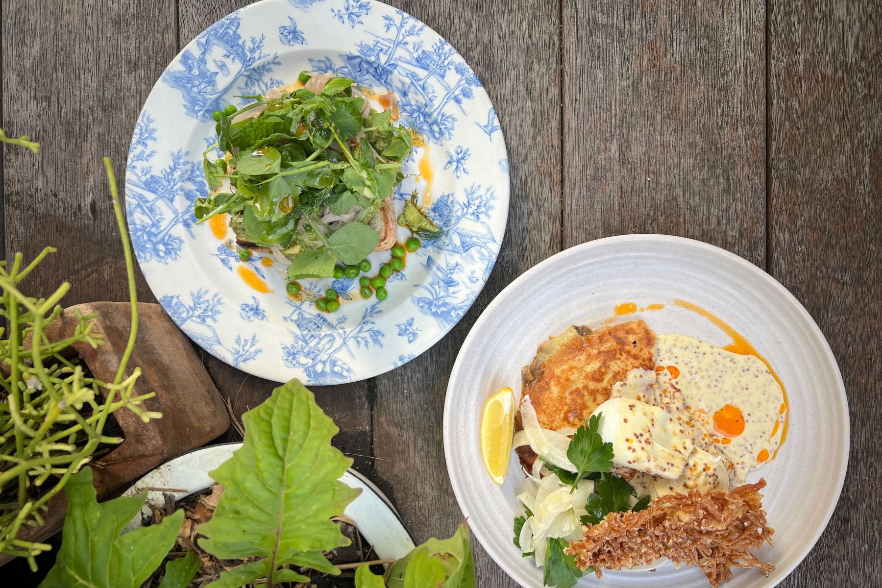 Adelaide's best gluten-free eateries - CityMag | InDaily, Inside South ...