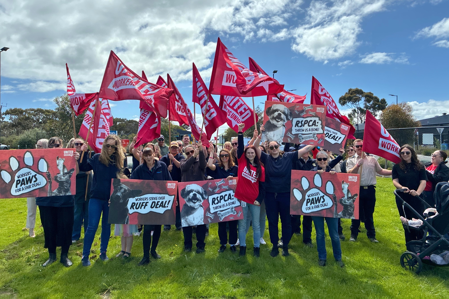 ‘Throw us a bone’: RSPCA staff call pay deal a dog’s breakfast - News ...