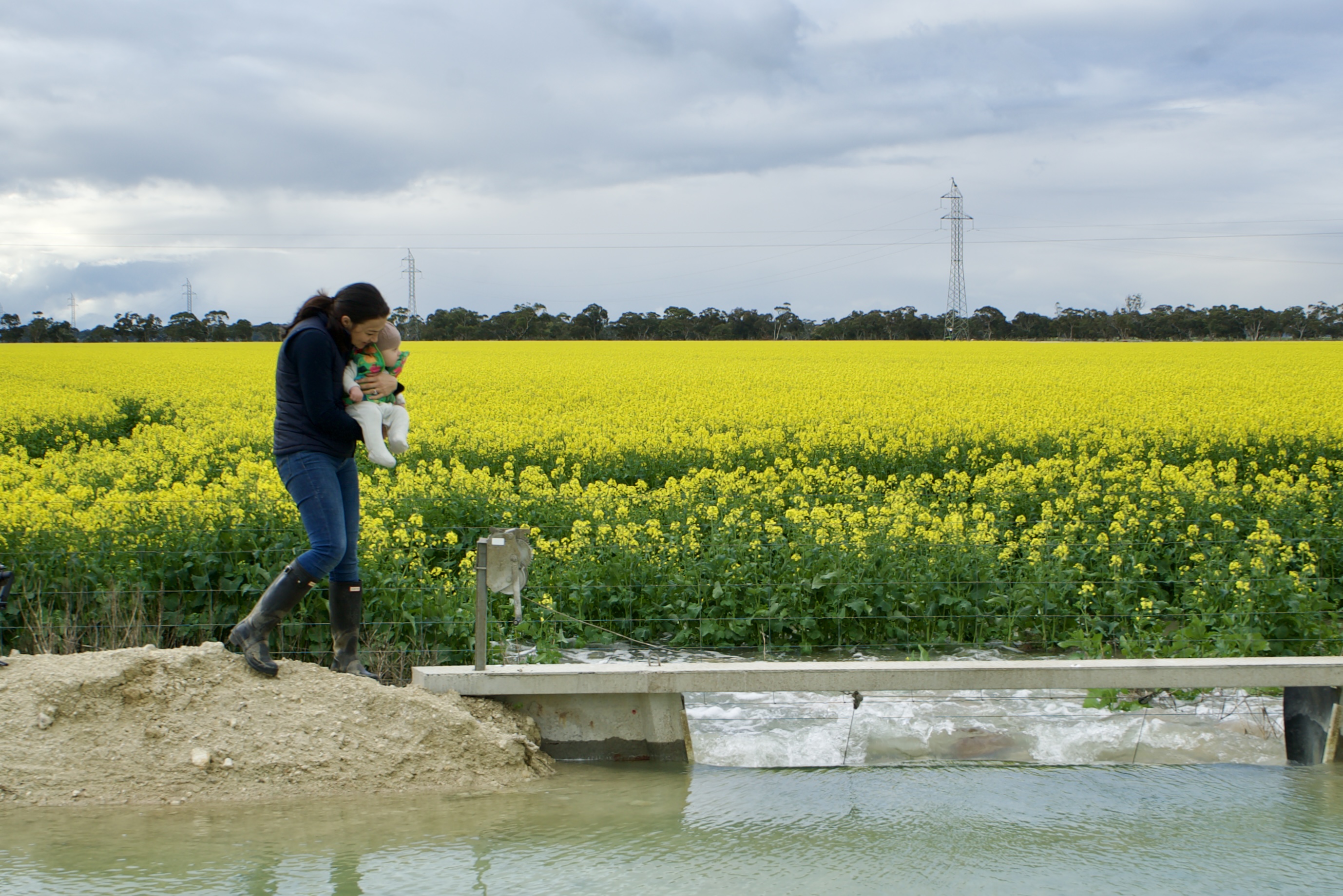 Proactive spirit shines bright in Keith - News | InDaily, Inside South ...