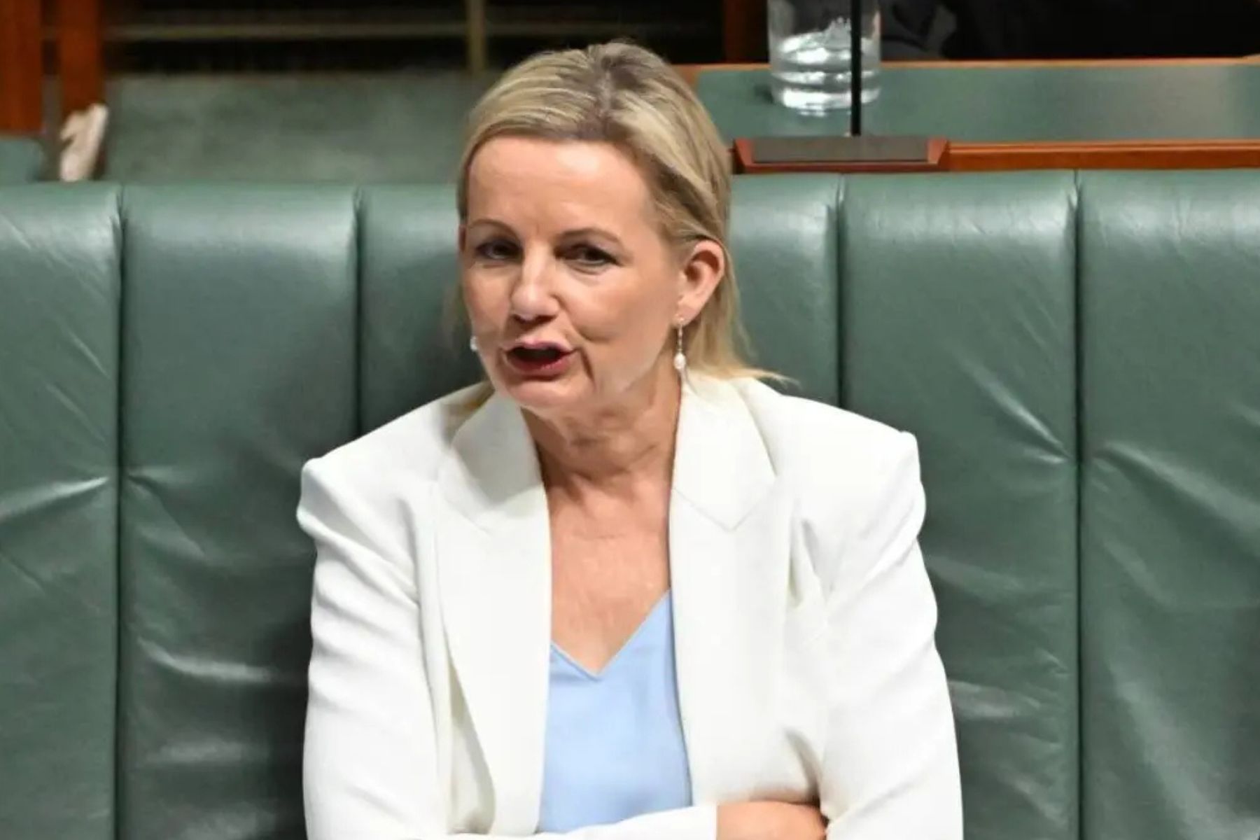 'Disunity is death': Coalition slumps amid Hanson surge - News ...