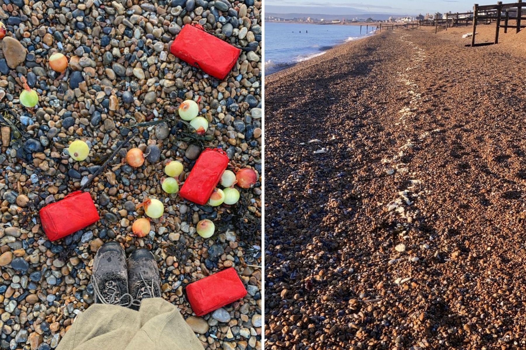 Thousands of chips wash up on popular beach - News | InDaily, Inside ...
