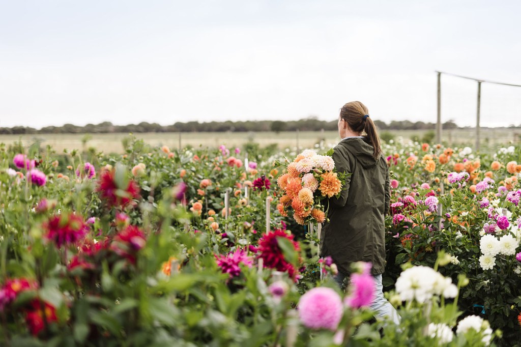 Things to do on the Limestone Coast - SALIFE | InDaily, Inside South ...