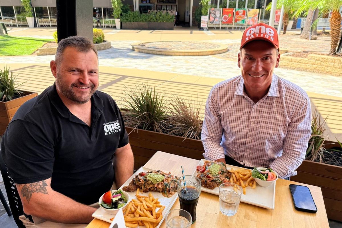 'Not your normal group of pollies': Meet your One Nation members - News ...