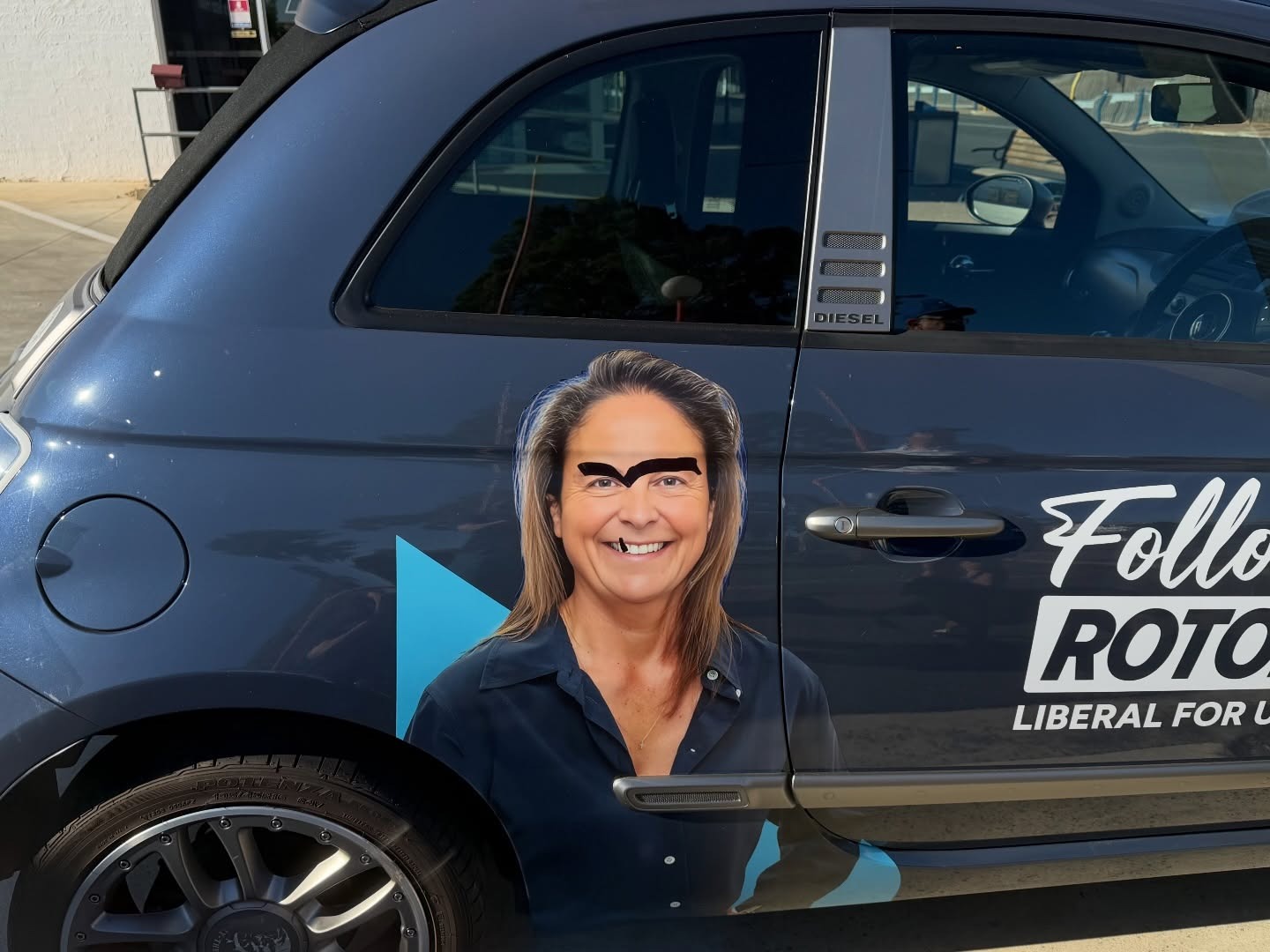 Election gets ugly: online trolls, vandals and polling booth safety ...
